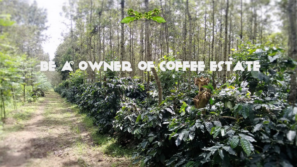 Coffee Estate for Sale in Chikmagalur | Land and Plots in Chikmagalur ...